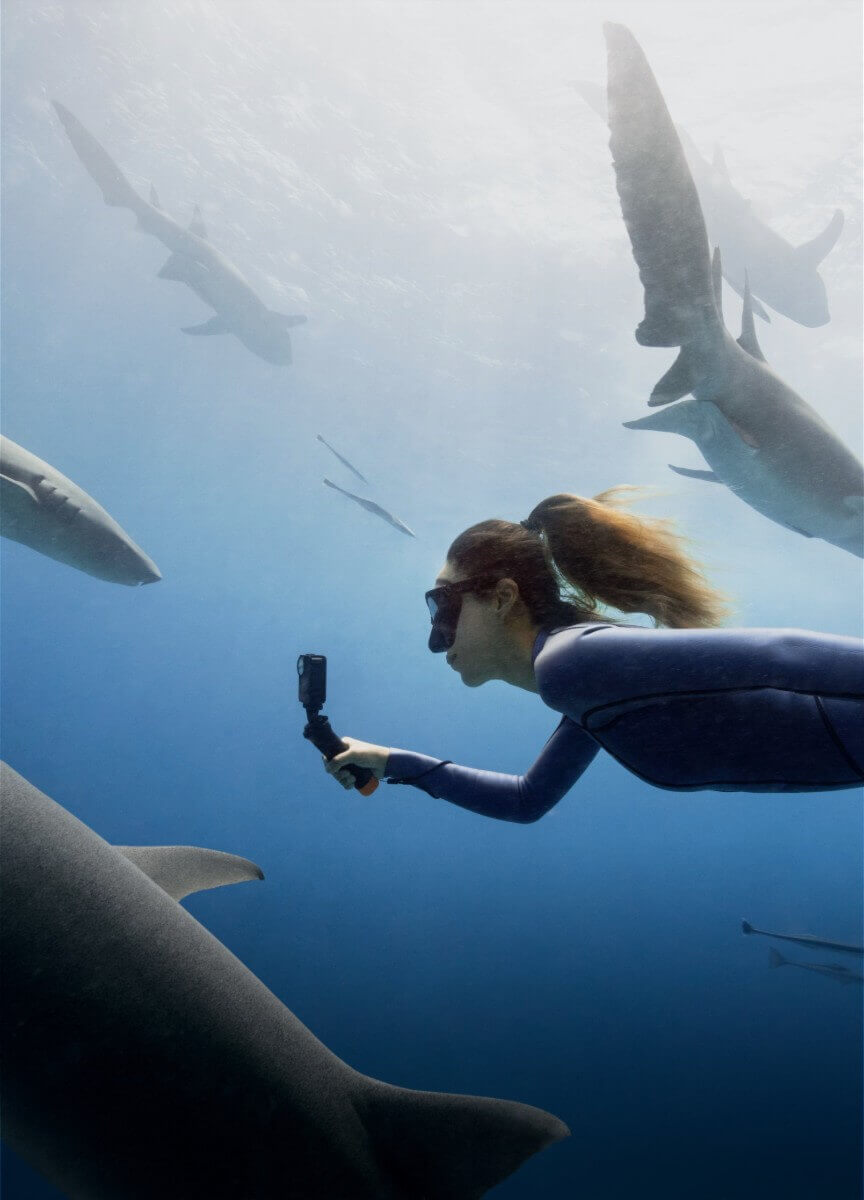 Handheld Imaging Devices & Action Camera - DJI